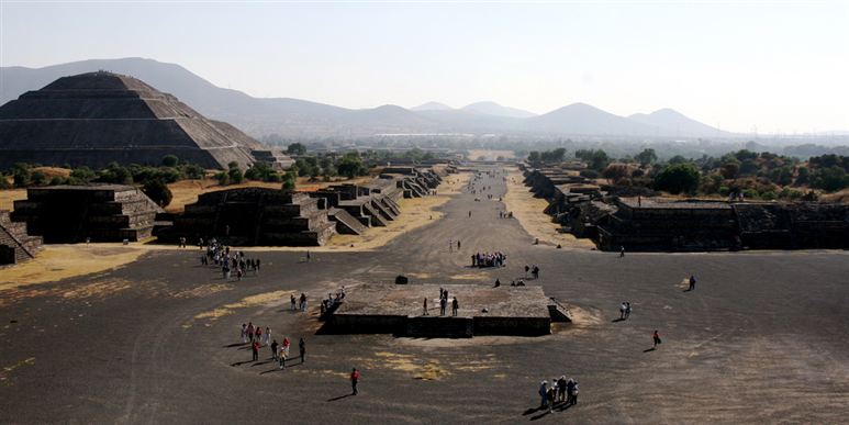 Detail-kæde bestikker sig til succes - Avisen.dk