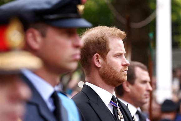 Prins Harry: William slog mig i jorden - Avisen.dk
